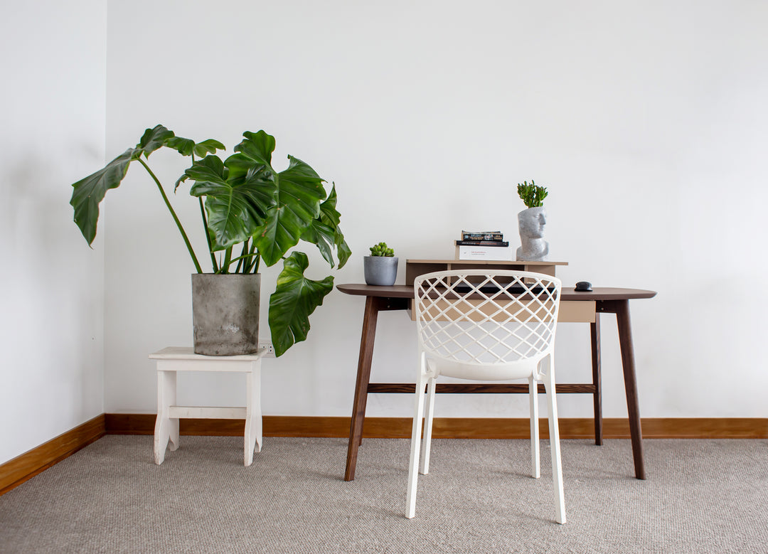 El Macetero Peru – elmacetero